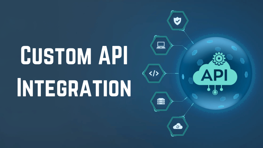 Custom API Integration Services